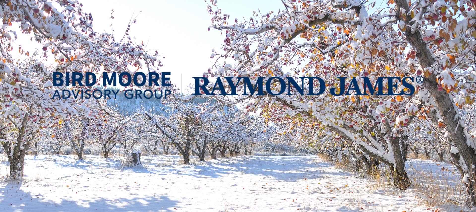 Bird Moore Advisory Group - Kelowna, BC